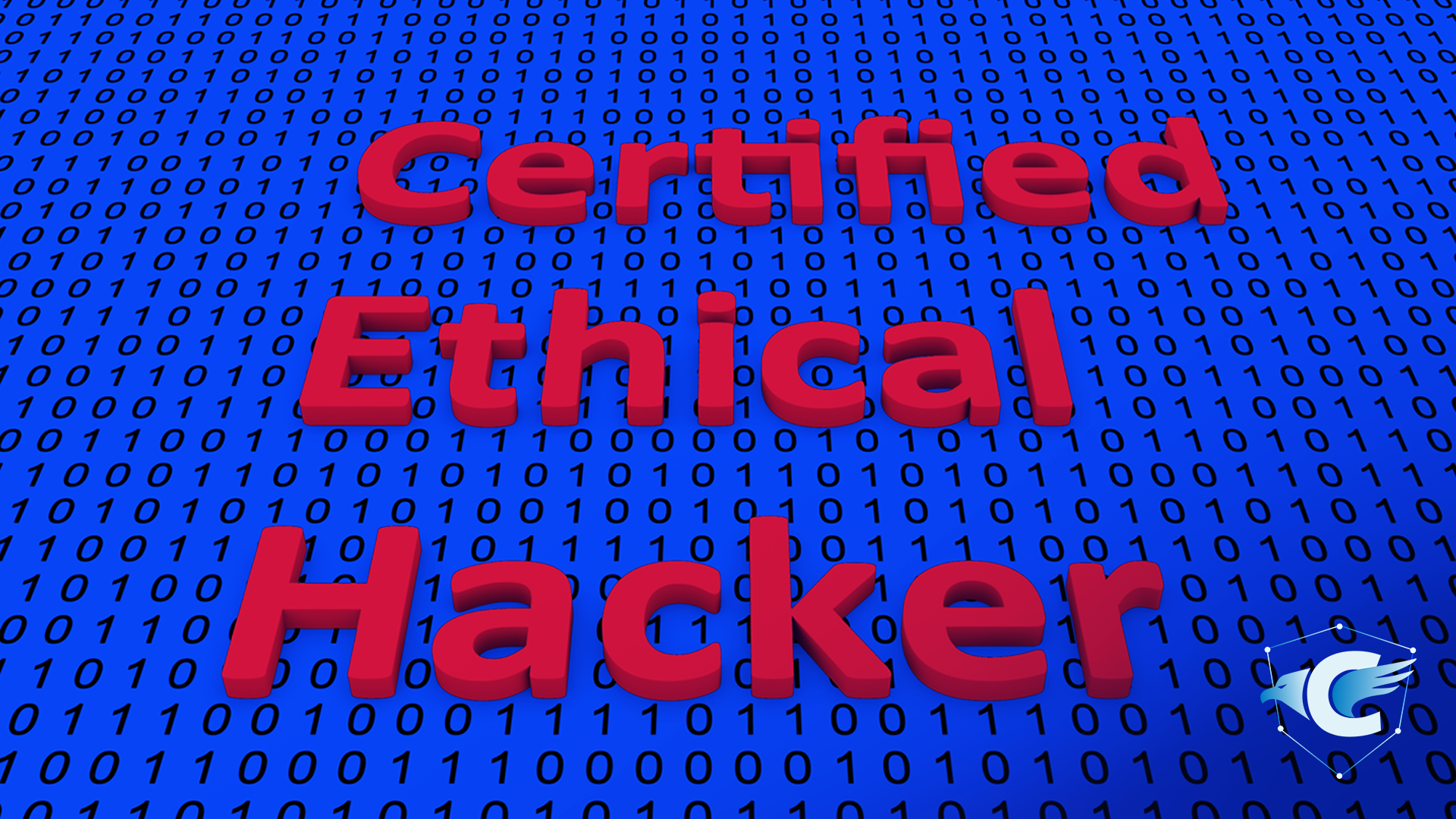 Ceh Certified Ethical Hacker Définition Et Comment L Obtenir